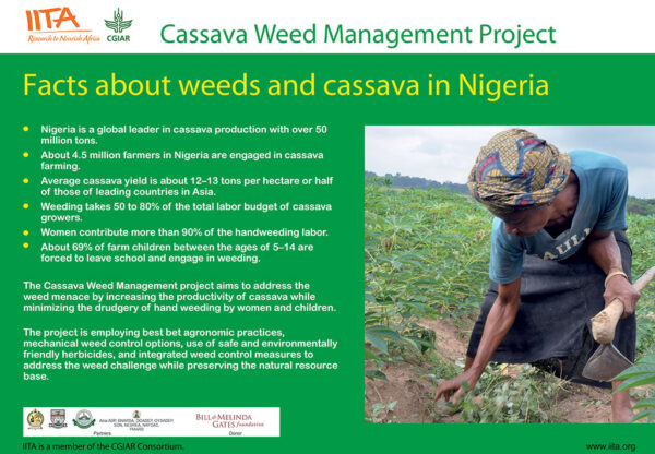 Cassava Weeds - Cassava Matters