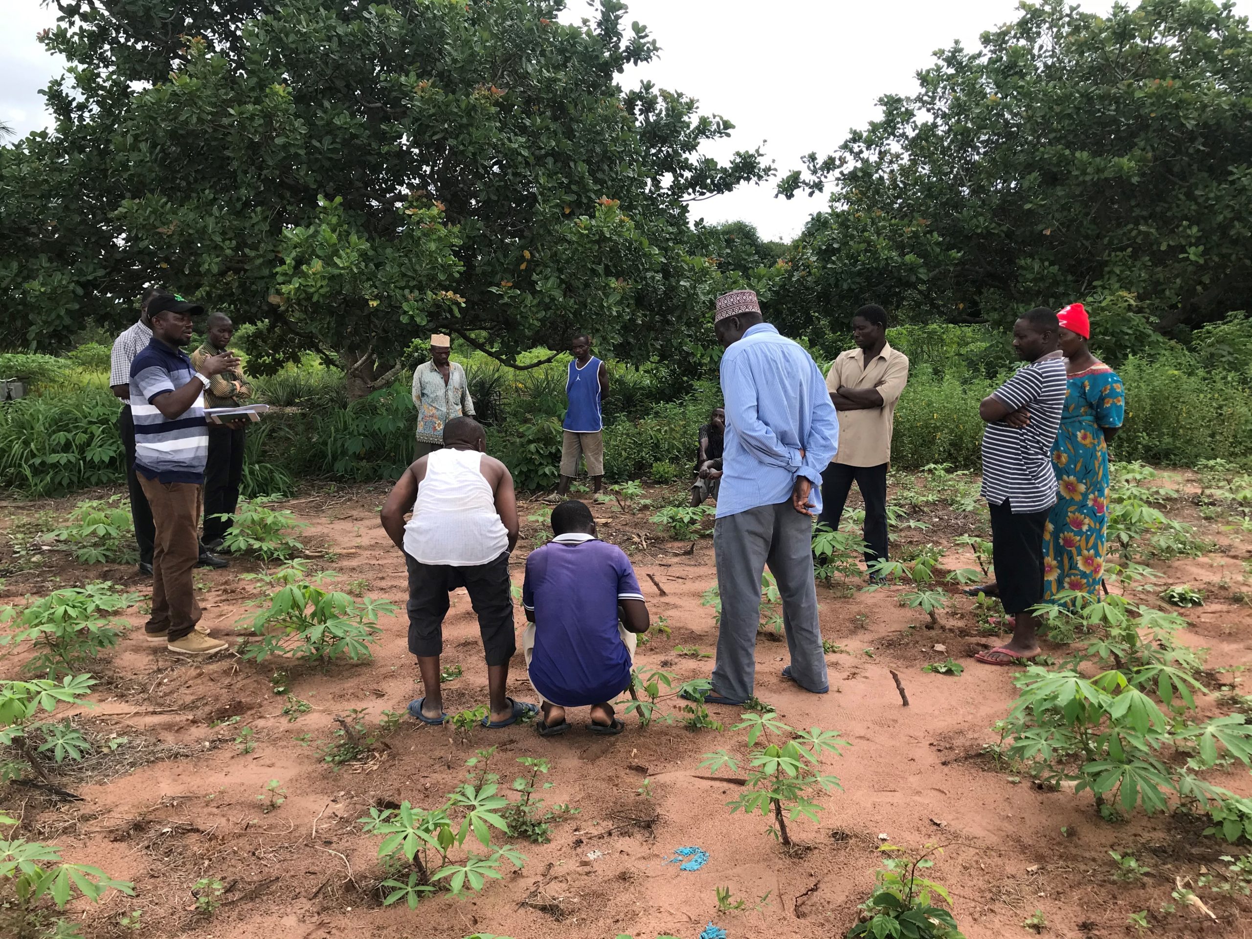 YARA Fertilizer Tanzania and Kilimo Joint in new collaboration under ...