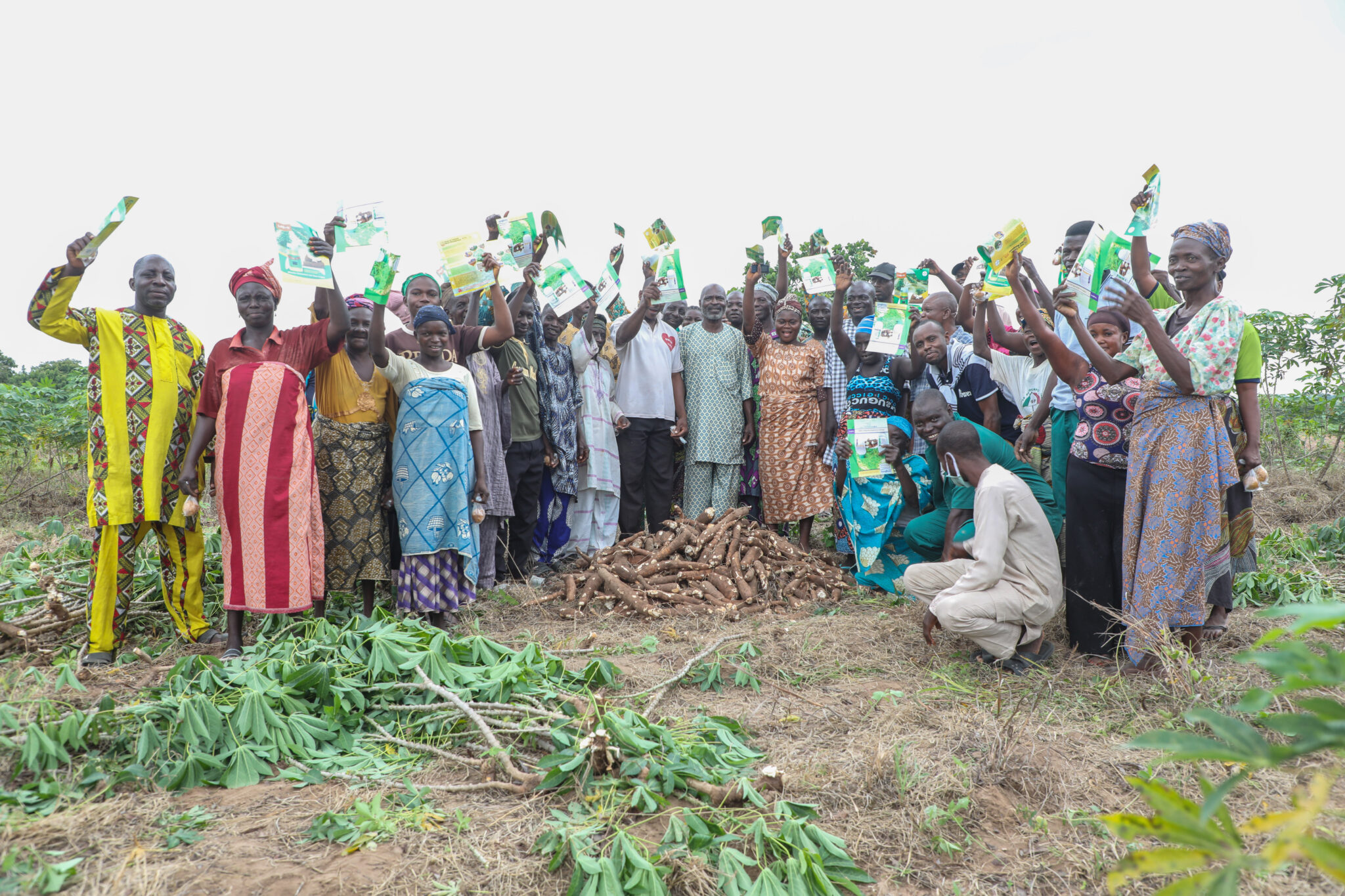 ‘Six Steps’ toolkit sparks excitement among cassava farmers - Cassava ...