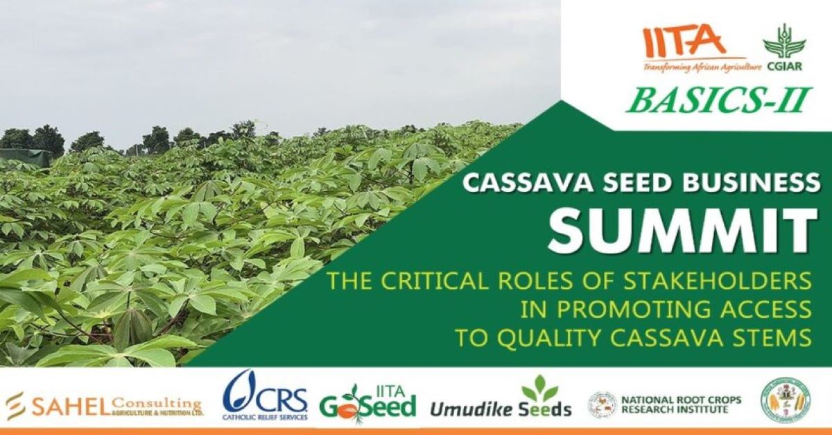 BASICS-II holds first Cassava Seed Business Summit 2021 - Cassava Matters