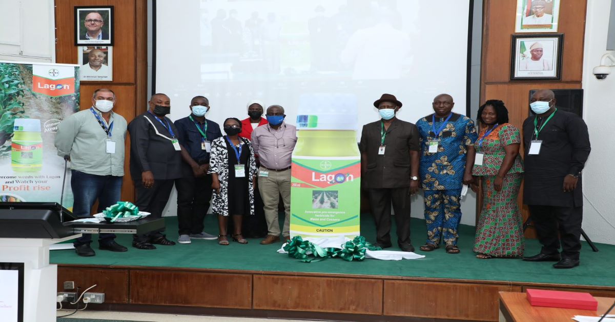 Bayer develops herbicides for cassava to tackle weeds and raise yields ...